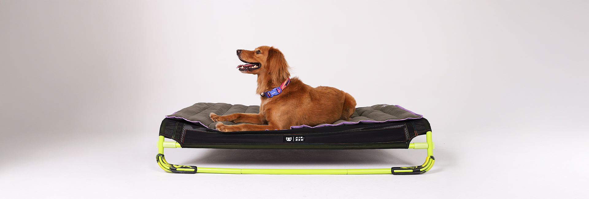 Air.Mat – Outdoor Pet Travel Mat with Soft Top & Waterproof Base – Zee.Dog