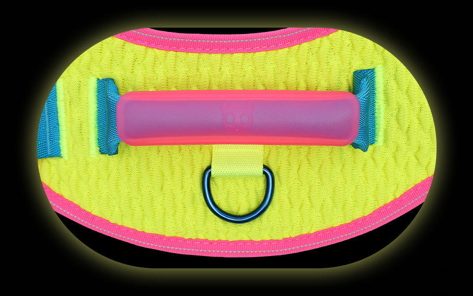 CMYK FlyHarness – Colorful, Lightweight Dog Harness for Adventures ...