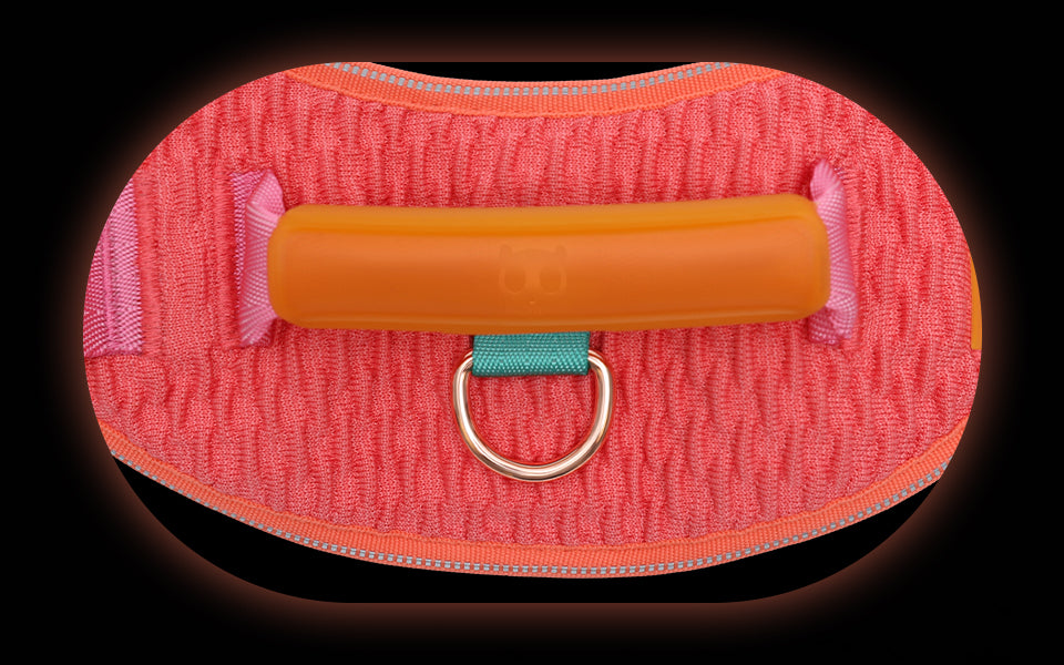 Gazelle FlyHarness – Lightweight, Breathable Adventure Dog Harness ...