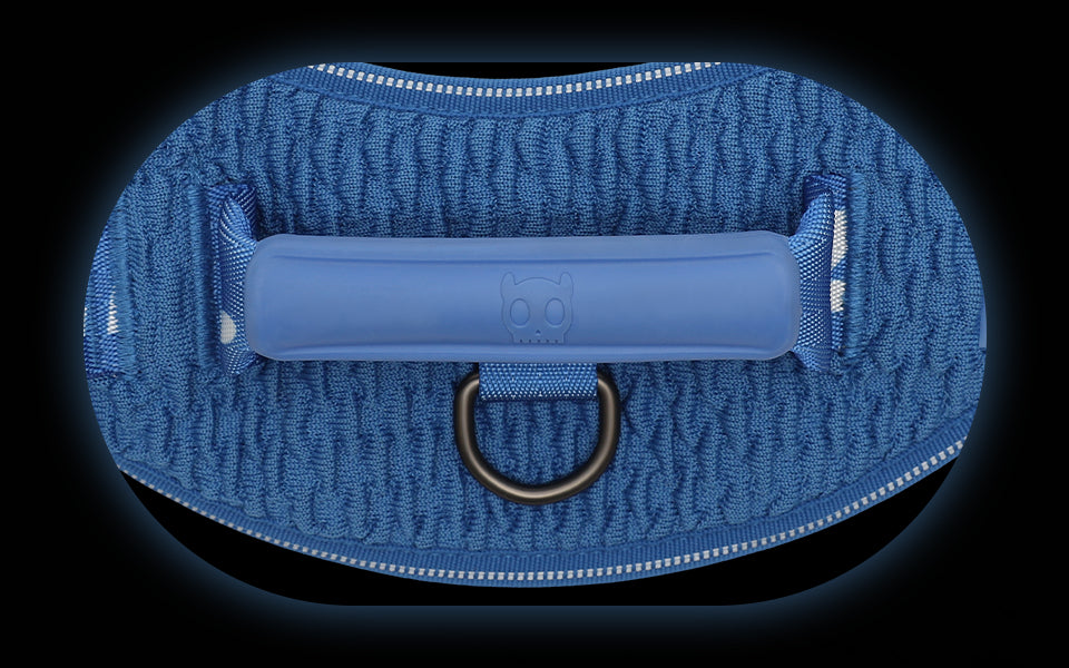 Slam Dunk FlyHarness – Lightweight, Breathable Dog Harness – Zee.Dog
