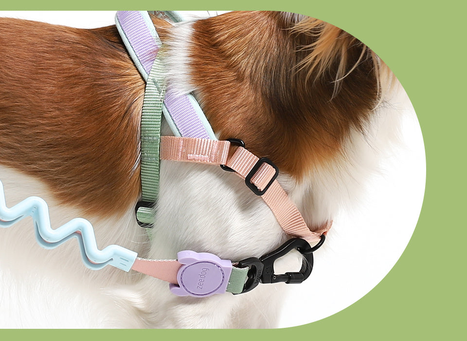 Zee.Dog SofterWalk No-Pull Dog Harness – Peach