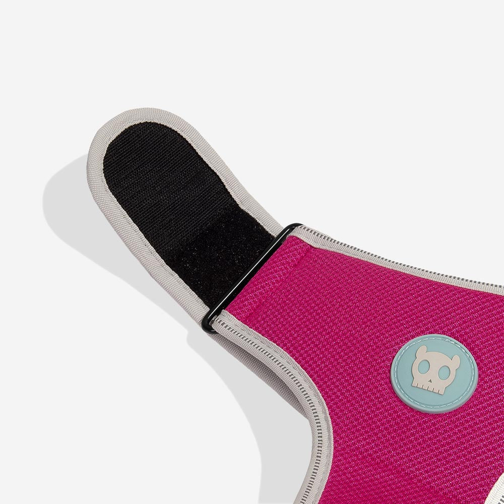 NOX Sidus | Adjustable Air Mesh Harness – Zee.Dog