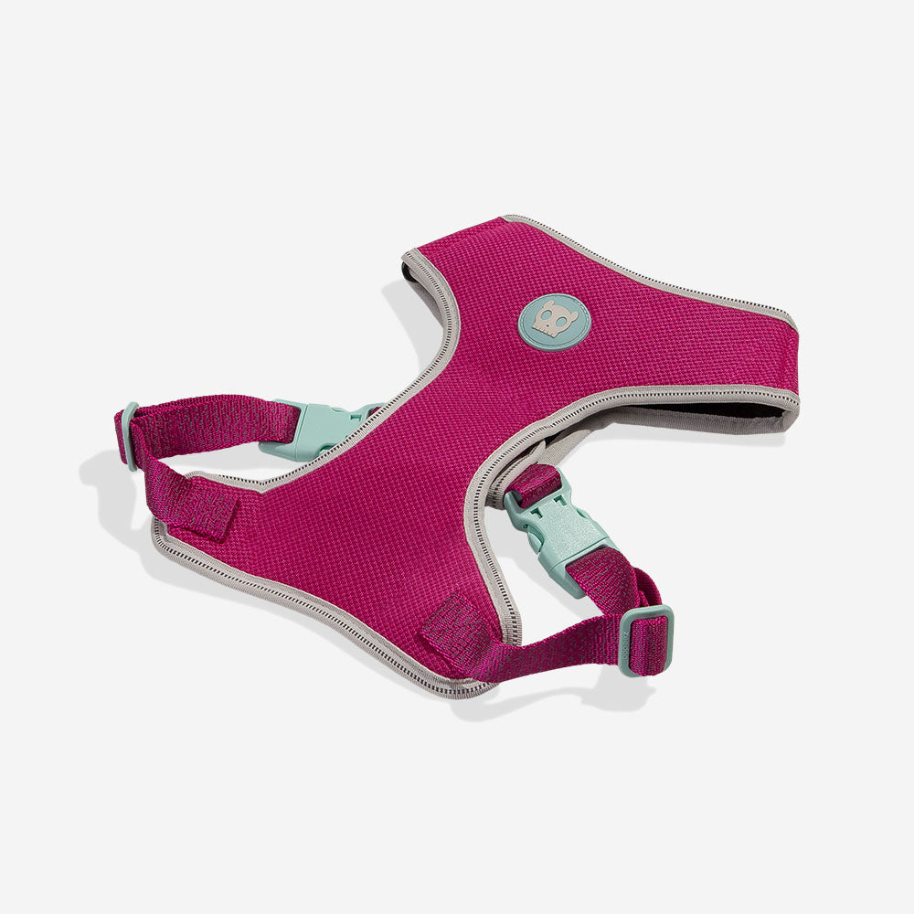 NOX Sidus | Adjustable Air Mesh Harness – Zee.Dog