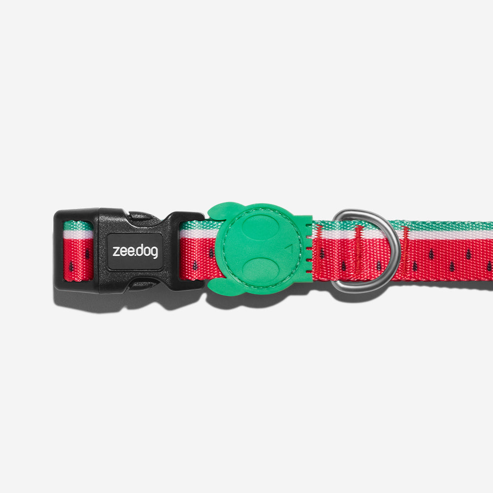 Dog Collar | Lola – Zee.Dog