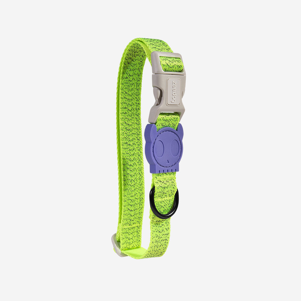 NOX Lumen | Collar – Zee.Dog
