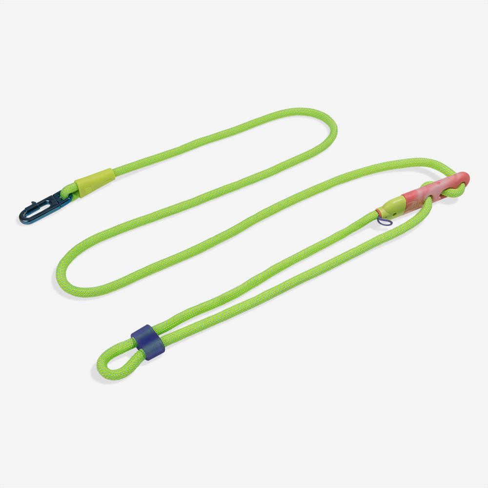 GLO | Hands-Free Leash – Zee.Dog