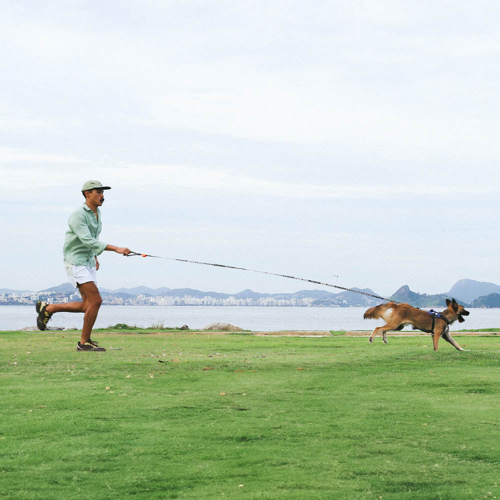 Primo | Long Leash - Adjustable up to 10 ft. long dog leash – Zee.Dog