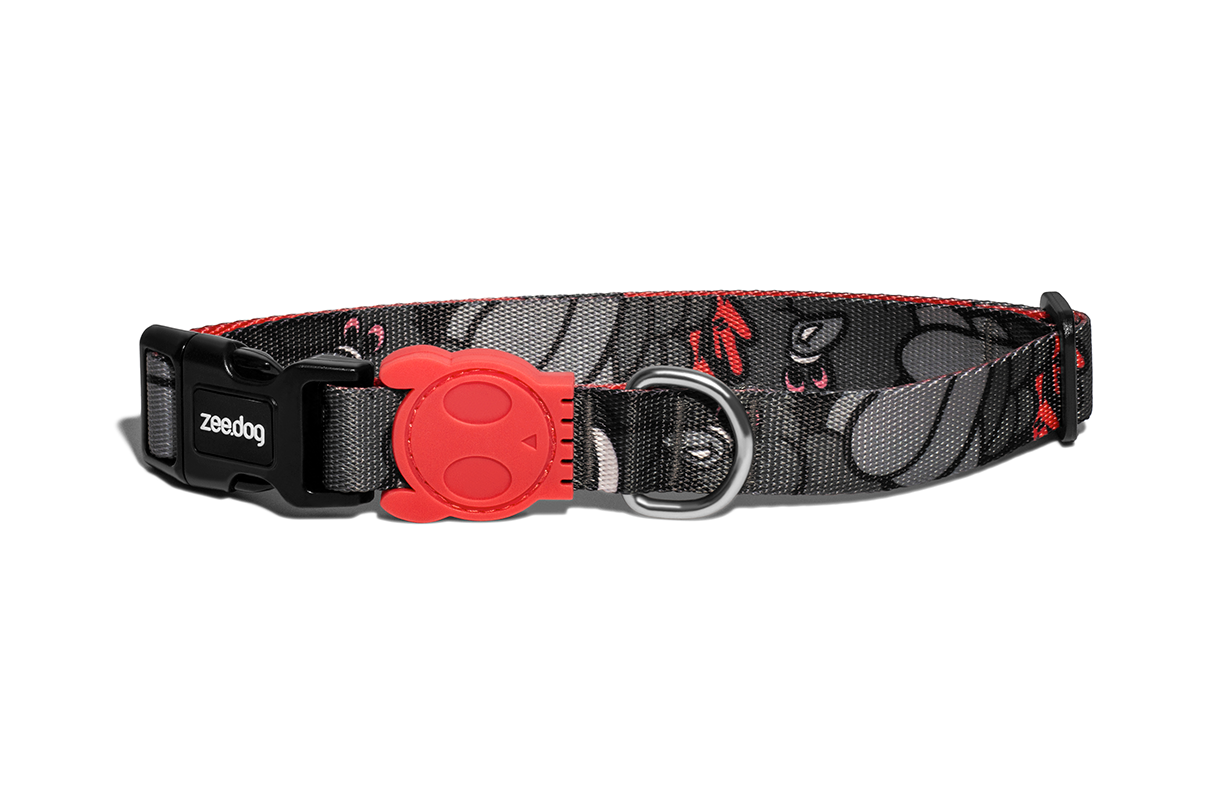 Staple | Collar – Zee.Dog