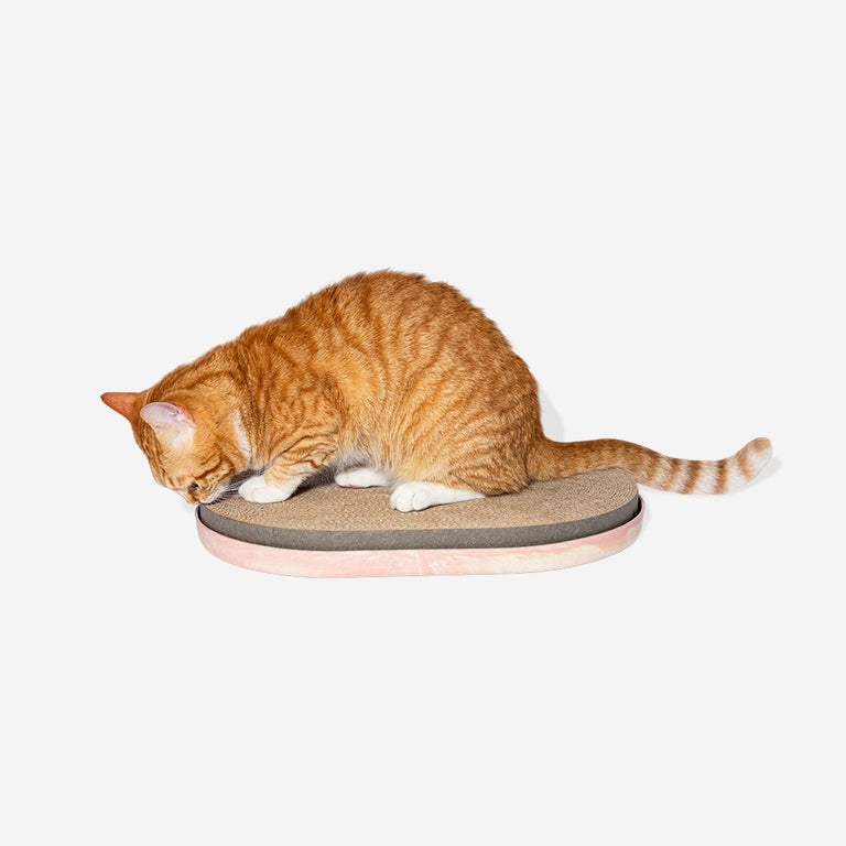 Light Pink | Cat Scratcher – Zee.Dog