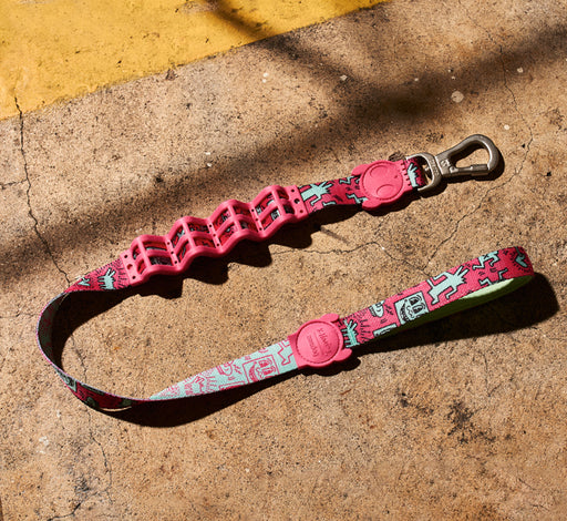 Keith Haring x Zee.Dog - 84 Crew Dog Collar