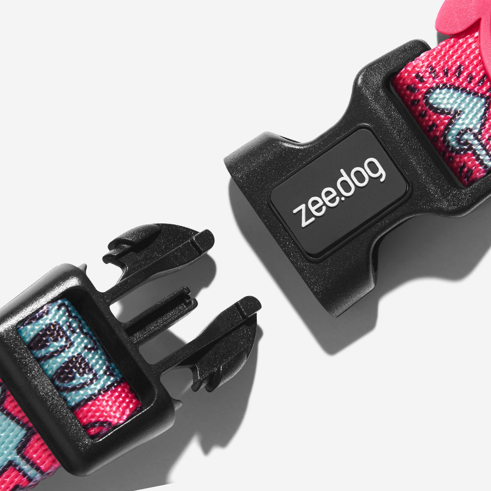 Keith Haring x Zee.Dog - 84 Crew Dog Collar
