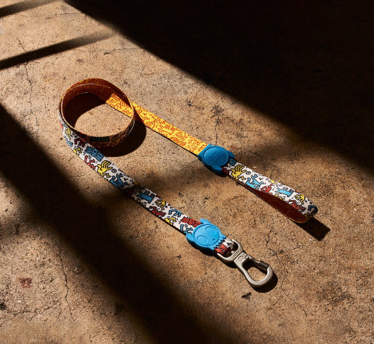 Keith Haring x Zee.Dog - Pop Gang Dog Collar