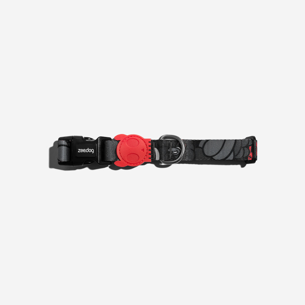Staple | Collar – Zee.Dog