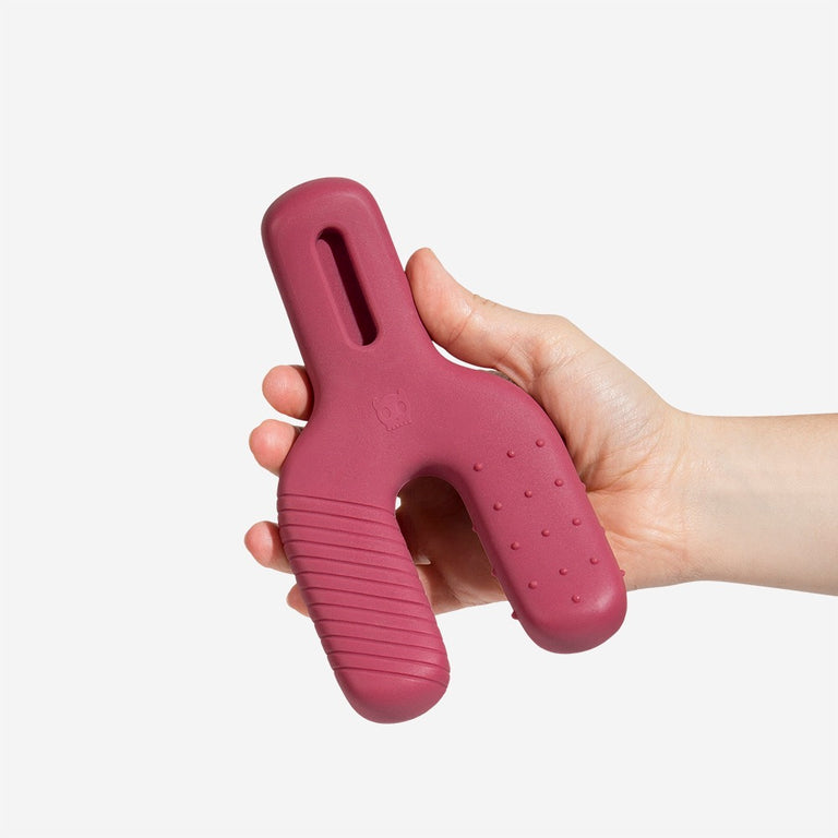 Wishbone | Chew Toy for Dogs – Zee.Dog