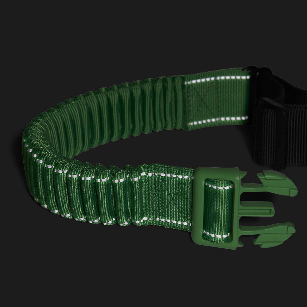 Running Belt | Zee.Run – Zee.Dog