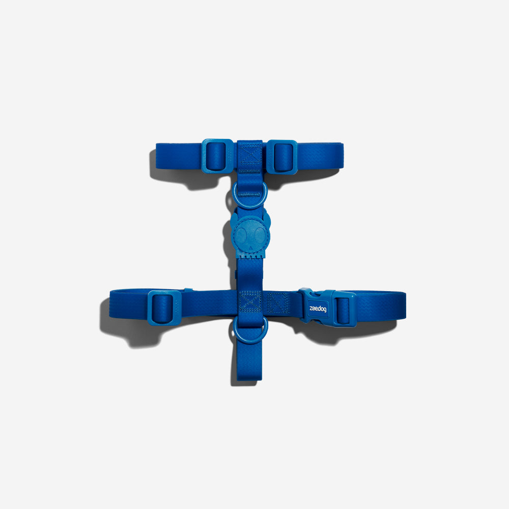 Neopro Blue | H-Harness – Zee.Dog